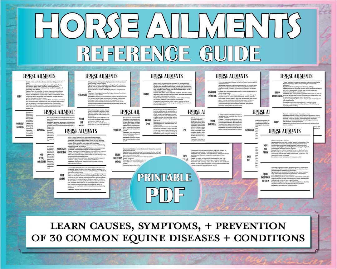 Horse Ailments + Diseases Printable Diagrams, Equestrian Knowledge Pdfs for Horse Owners, Riding ...