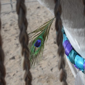 Feather Neck Wreath for Horses and Ponies *custom* - Braided Fabric ...