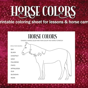 The Horse Camp MEGA Bundle 40 Equestrian Activities, Games, Exercises ...