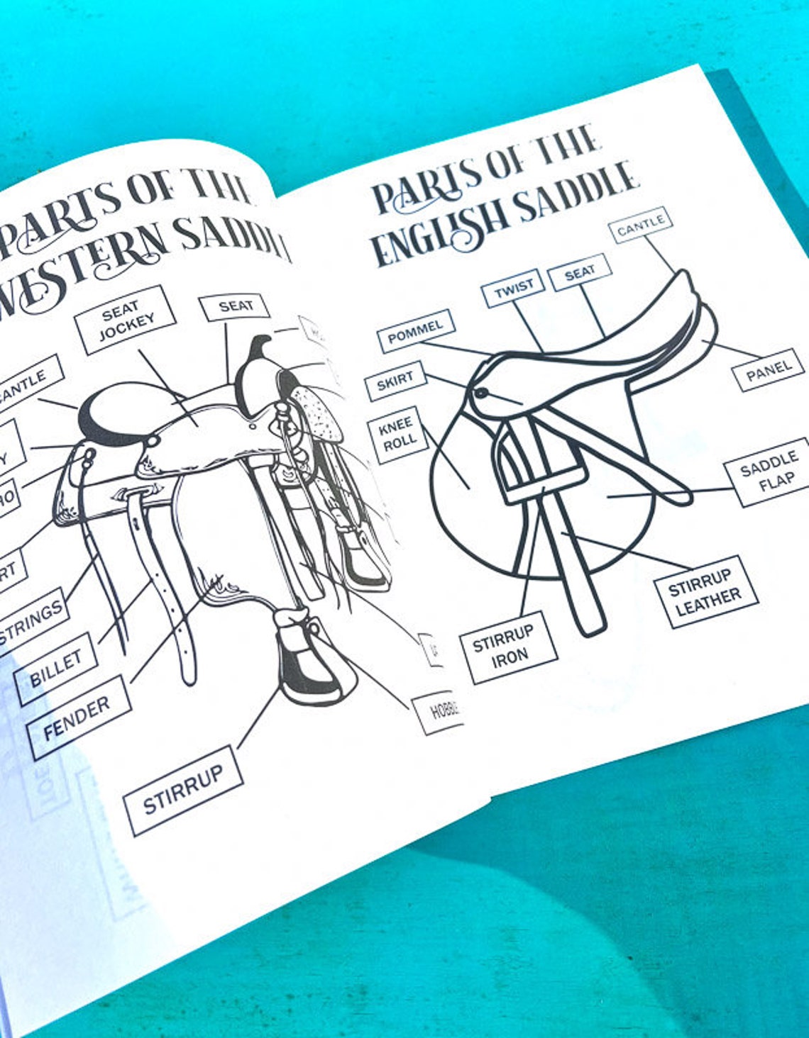 Riding Student's Horse Workbook | Horse Diagram and Knowledge ...