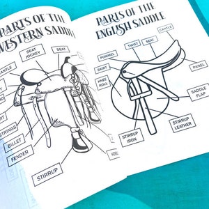 Riding Student's Horse Workbook | Horse Diagram and Knowledge ...