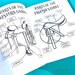 Riding Student's Horse Workbook | Horse Diagram and Knowledge ...