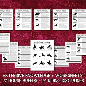 Intermediate Rider Lesson Plan MEGA Bundle Horseback Riding Exercises ...