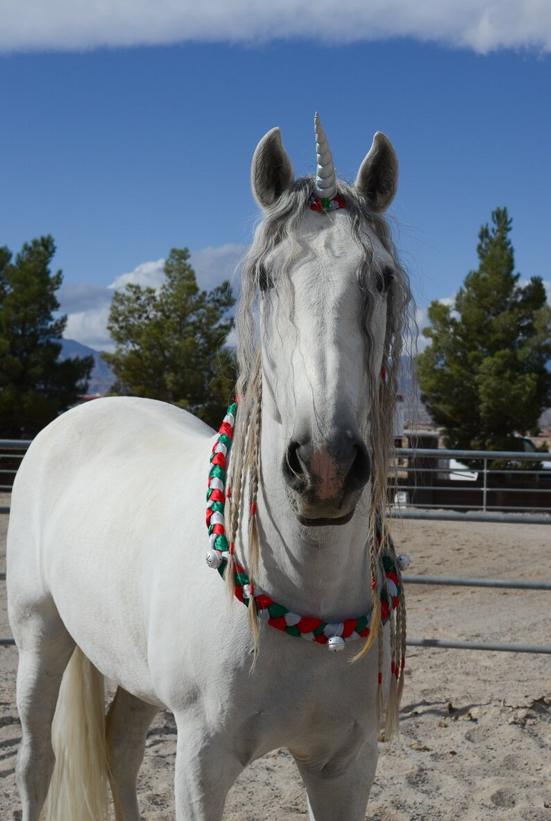 Sleigh Bells Neck Wreath for Horse or Pony | Horse Neck Wreath | Neck ...
