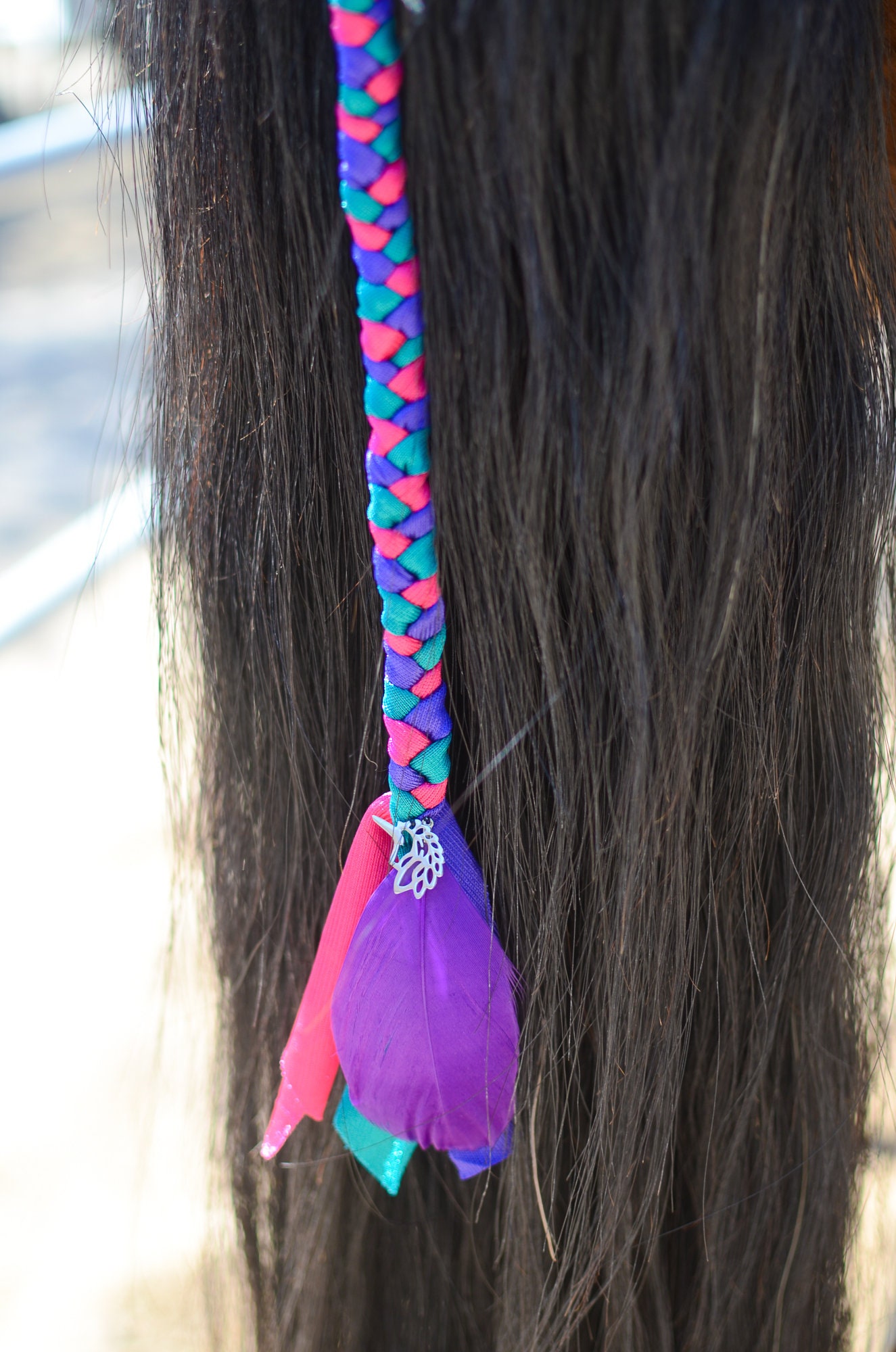 Braided Feather Mane & Tail Accessories for Horse or Pony | Etsy