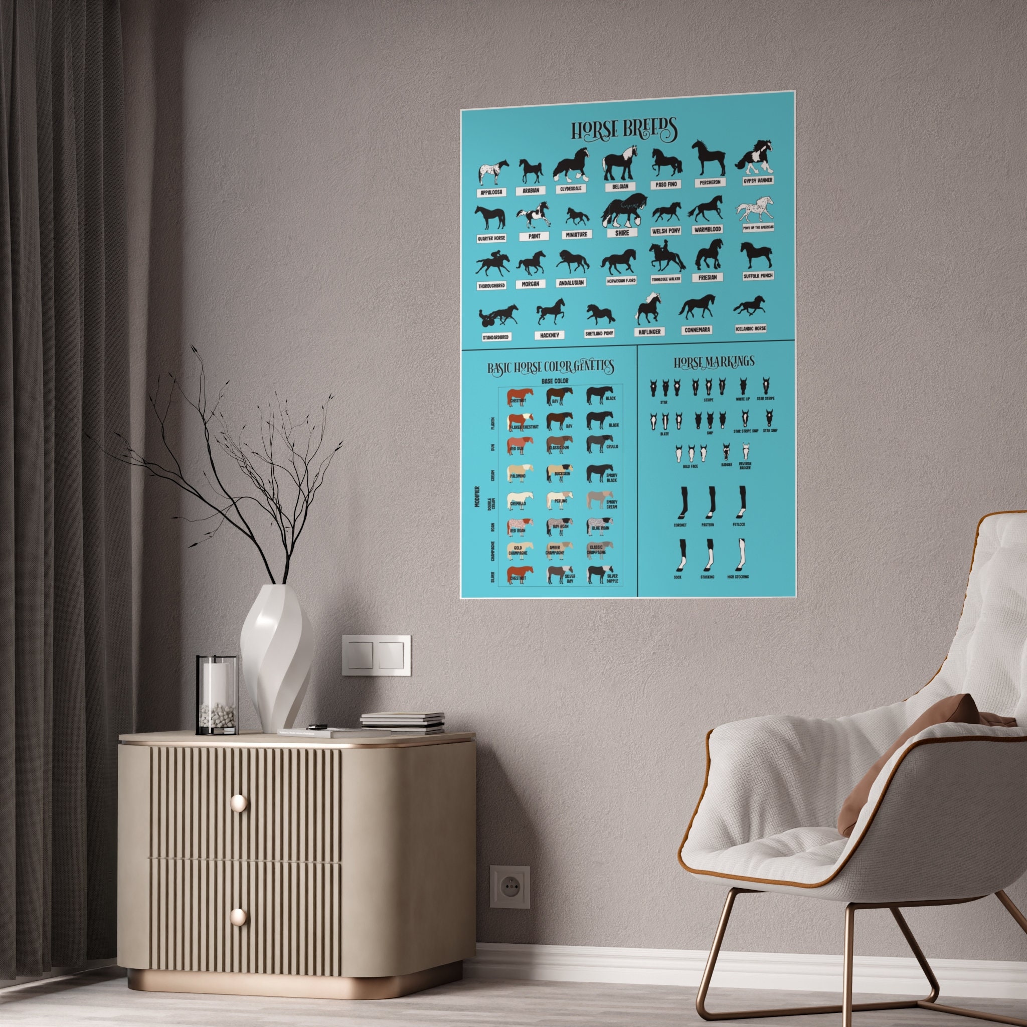Horse Breeds, Colors, & Markings Poster, Horse Knowledge Equestrian ...
