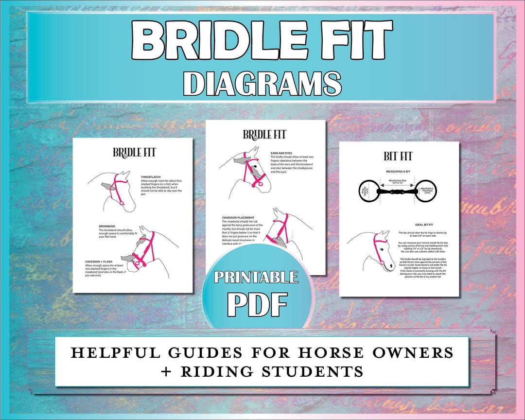 Bridle Fit Printable Bundle, Bridle and Bit Fit Diagrams for ...