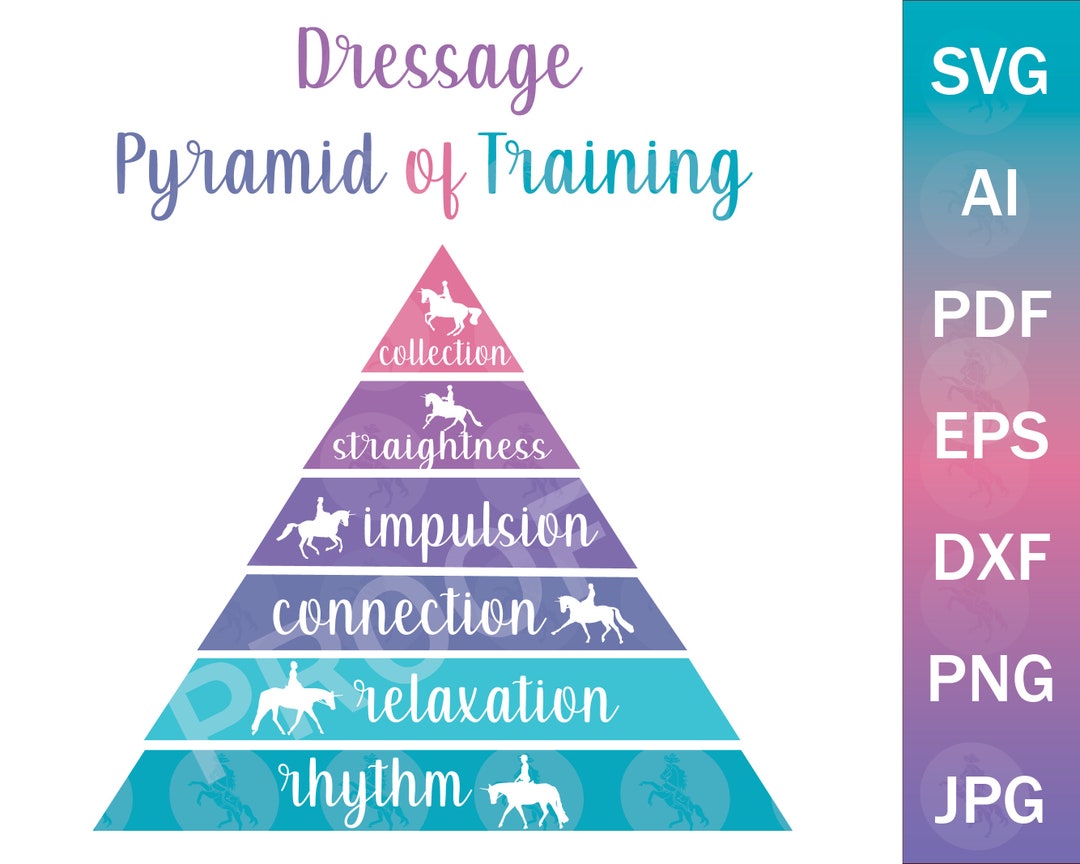 Dressage Pyramid of Training Digital Download, Dressage Horse Training ...