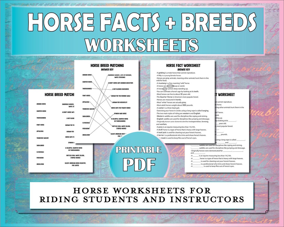 Horse Facts and Horse Breeds Worksheets, Equestrian Printable Worksheet ...