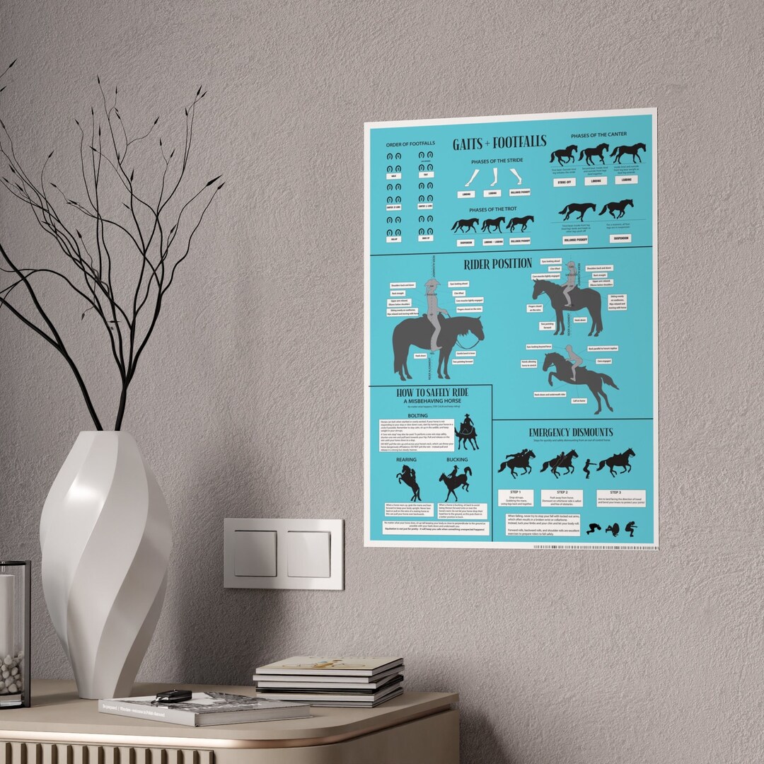 Gaits, Rider Position, & Safety Poster, Horse Knowledge Equestrian ...