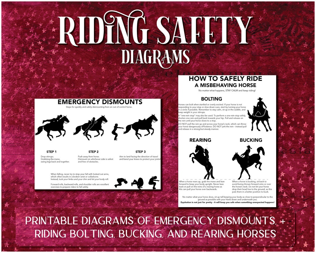 Horse Riding Safety Printable Diagram, Equestrian Safety Activity for ...