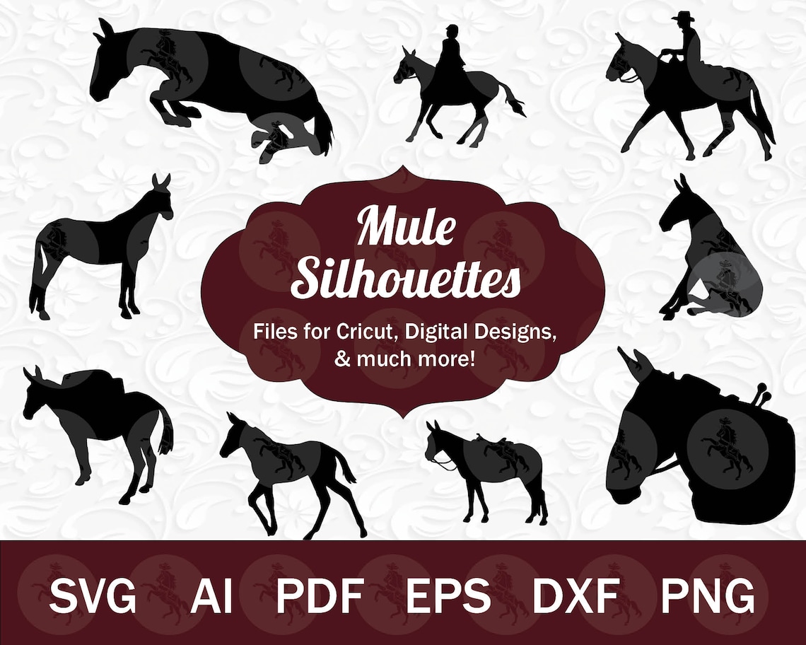 Mule SVG for Cricut Mule SVG Bundle: Sitting Mule SVG - Etsy