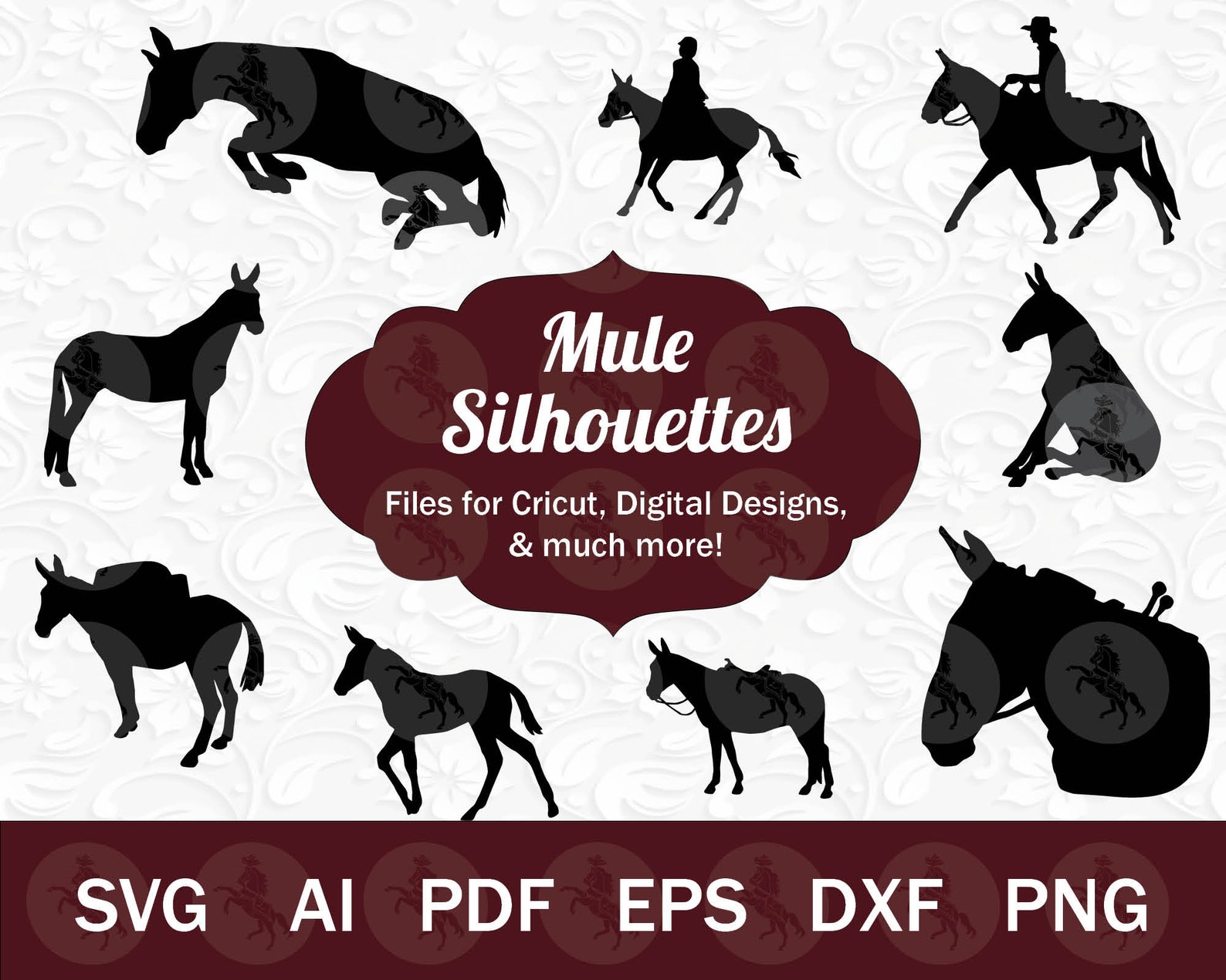 Mule SVG for Cricut | Mule SVG Bundle: Sitting Mule SVG, Jumping Mule ...