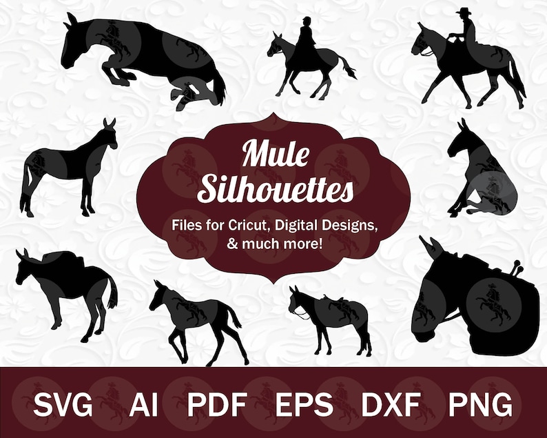 Mule SVG for Cricut | Mule SVG Bundle: Sitting Mule SVG, Jumping Mule ...