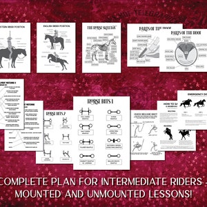 Intermediate Rider Lesson Plan MEGA Bundle Horseback Riding Exercises ...