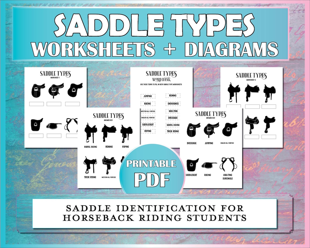 Horse Saddle Types Printable Worksheets, Western and English Tack ...