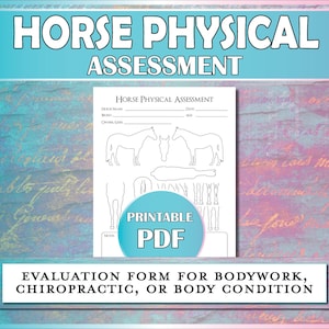 Horse Physical Assessment Form for Equine Body Condition, Bodywork ...