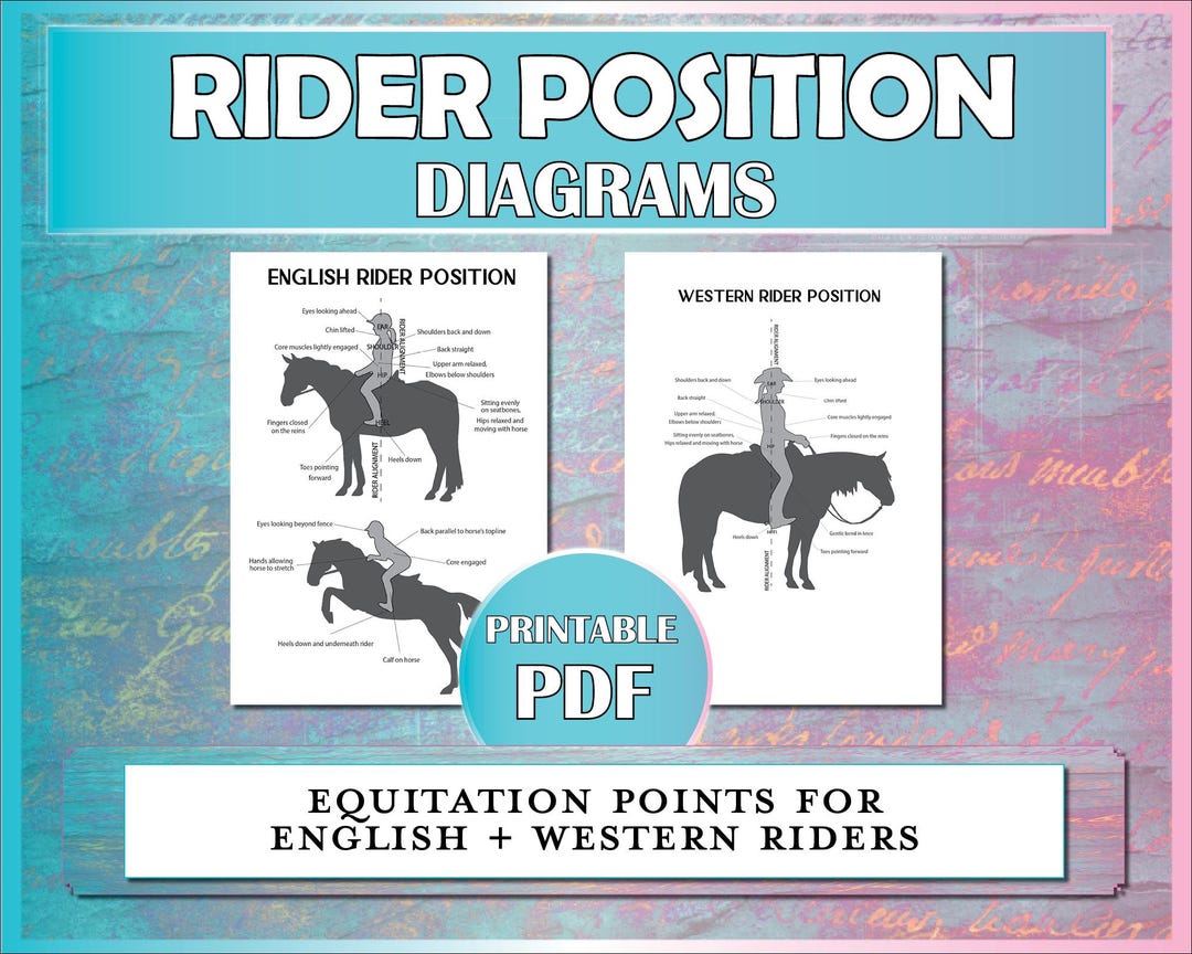 Horse Rider Position Printable, Equestrian Equitation Diagram, Western ...