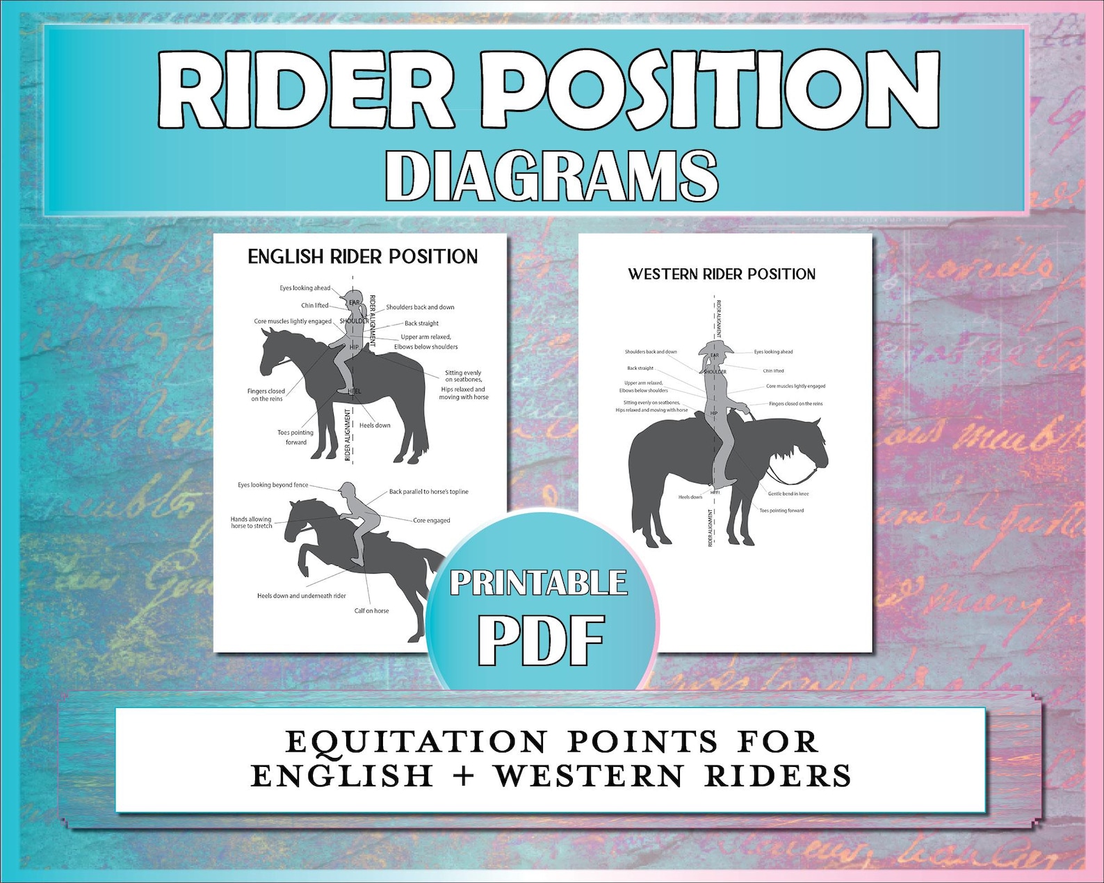 Horse Rider Position Printable, Equestrian Equitation Diagram, Western ...