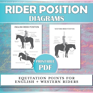 Horse Rider Position Printable, Equestrian Equitation Diagram, Western ...