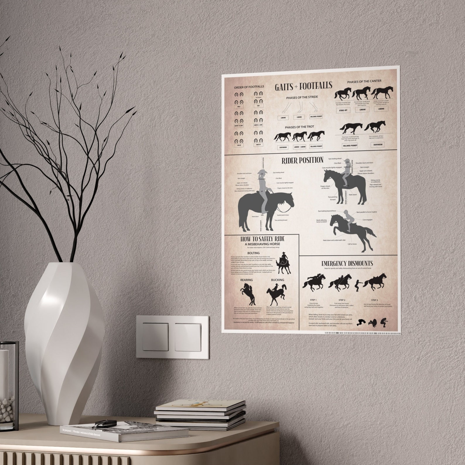 Gaits, Rider Position, & Safety Poster, Horse Knowledge Equestrian ...