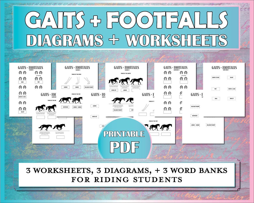 Horse Gaits Printable Diagram, Strides and Footfalls Equestrian ...