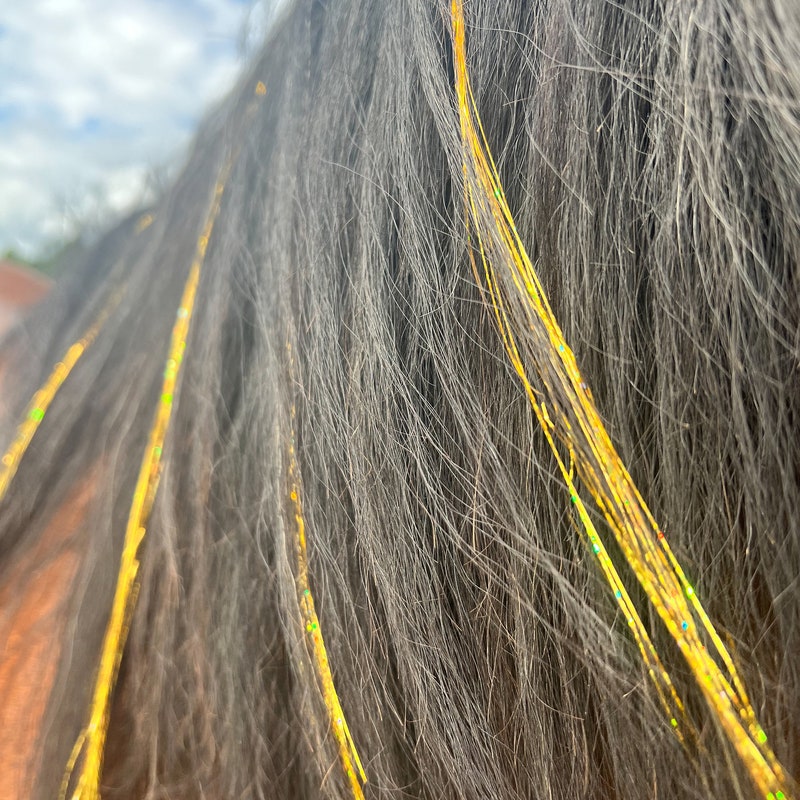 Buy Hair Tinsel Online In India - Etsy India