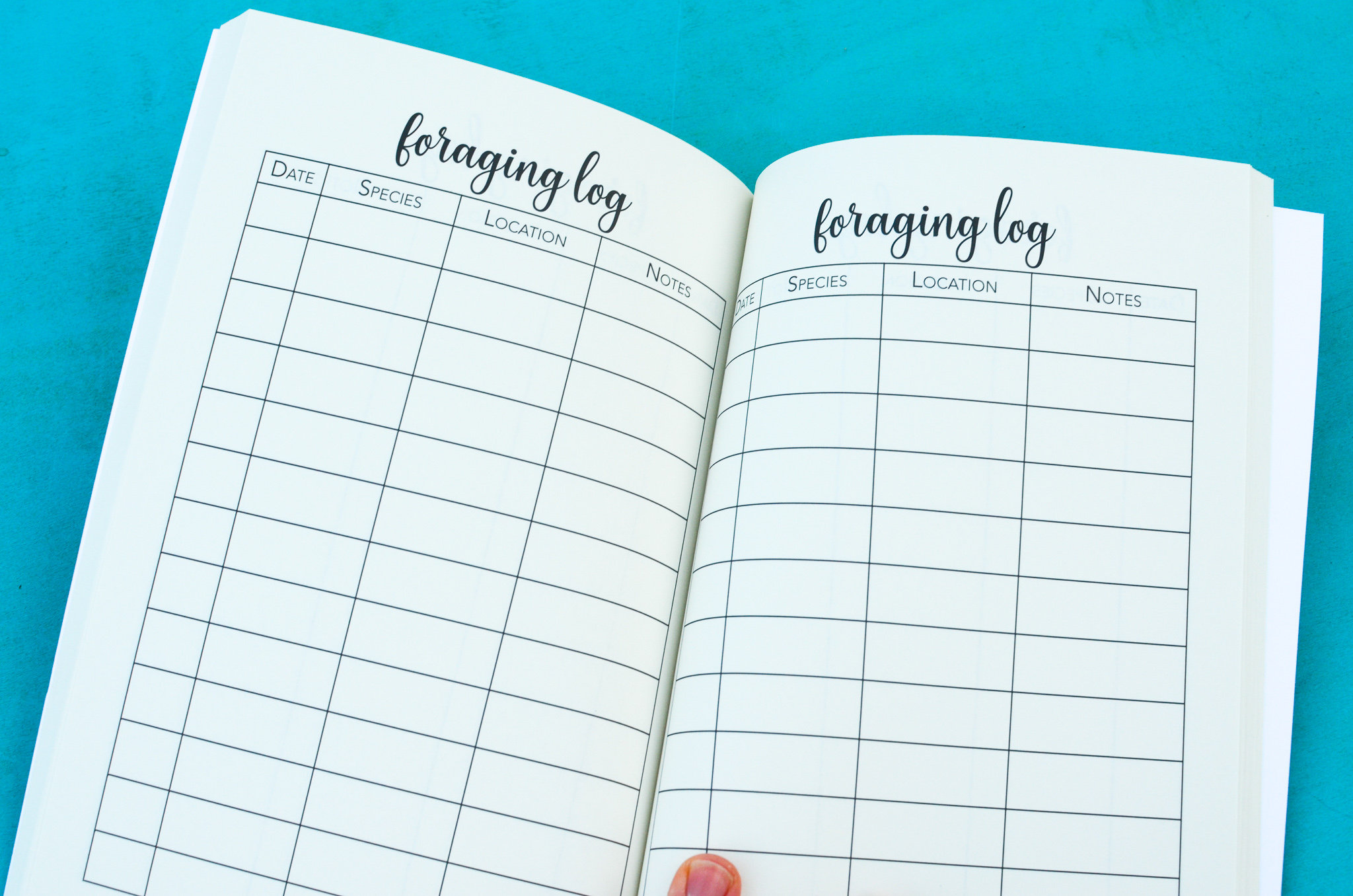 The Forager's Journal Log Book for Foraging Mushroom - Etsy