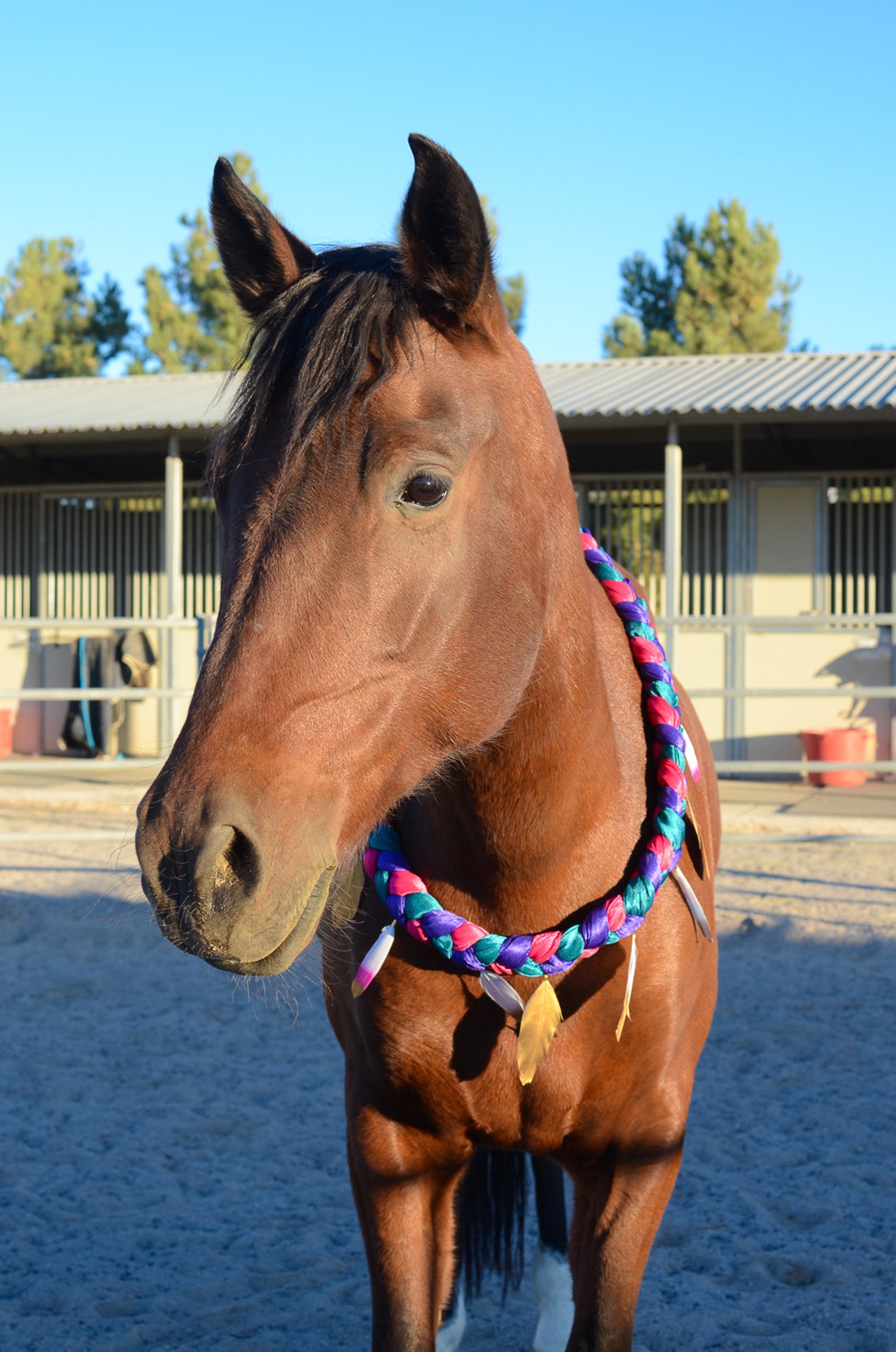 Feather Neck Wreath for Horses and Ponies *custom* - Braided Fabric ...