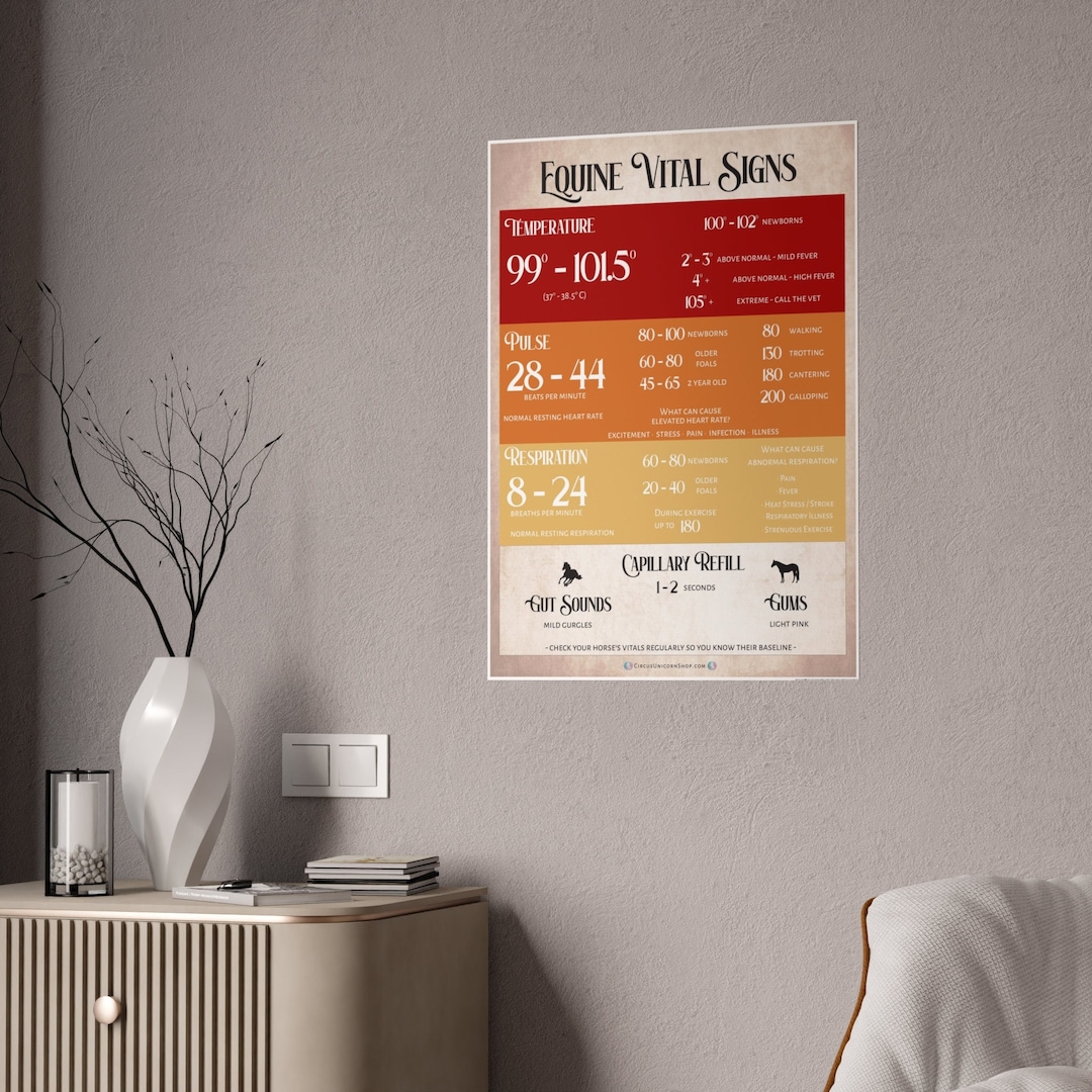 Equine Vital Signs Poster, TPR Horse Knowledge Equestrian Poster, Barn ...