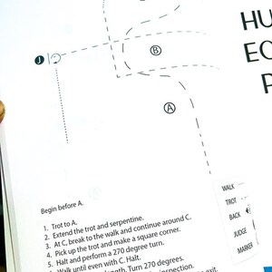 The Book of Horse Show Patterns | Horse Show Pattern Prep for ...