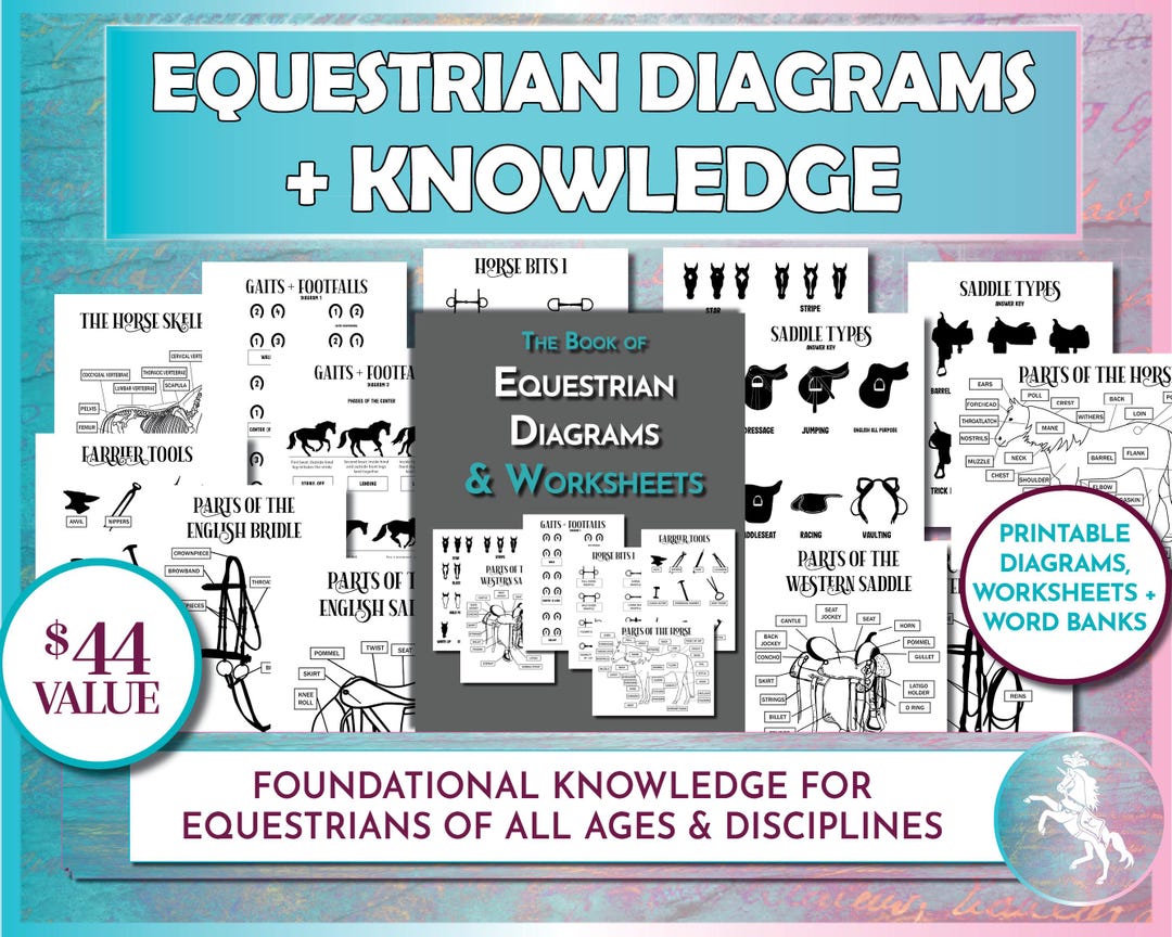 Equestrian Knowledge Diagrams & Worksheets - Horse Diagrams, Equine ...