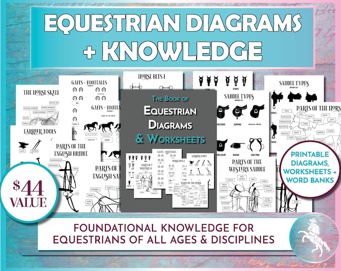 Horse Skeleton Printable Diagram, Equestrian Printable Worksheet for ...