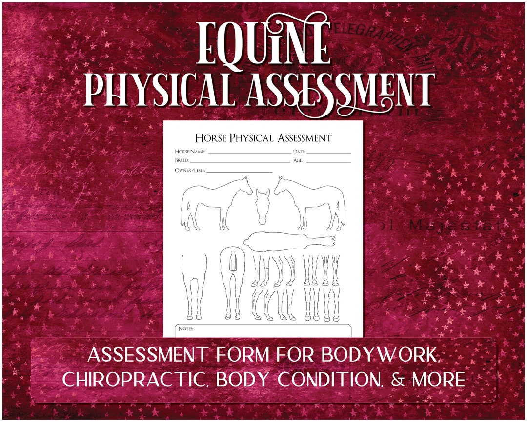 Horse Physical Assessment Form for Equine Body Condition, Bodywork ...