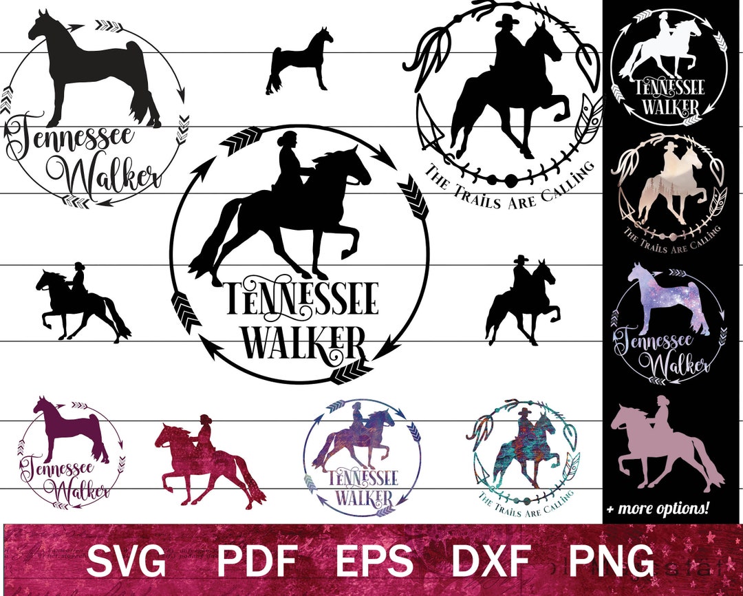 Tennessee Walking Horse SVG Bundle, Tennessee Walker Horse Clip Art ...