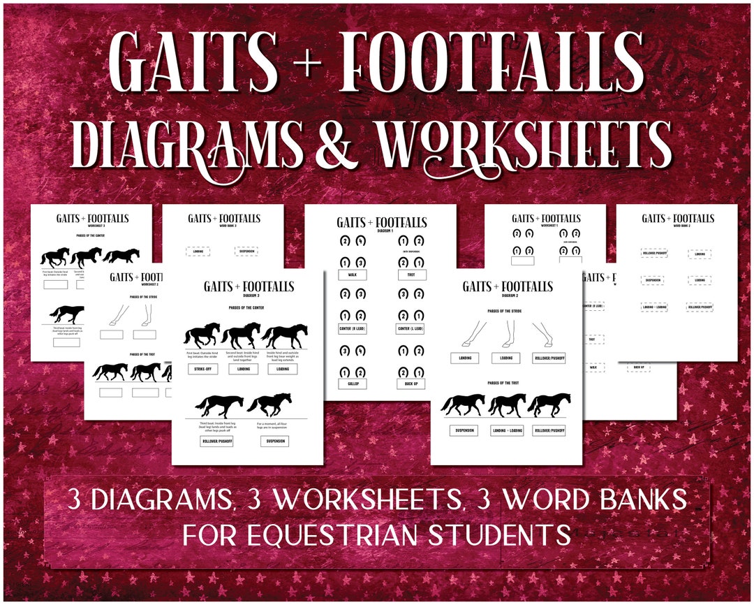 Horse Gaits Printable Diagram, Strides and Footfalls Equestrian Printable Worksheet for Horse ...