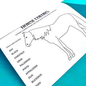 Riding Student's Horse Workbook | Horse Diagram and Knowledge ...