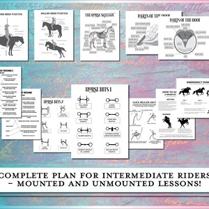 Intermediate Rider Lesson Plan MEGA Bundle - Horseback Riding Exercises ...