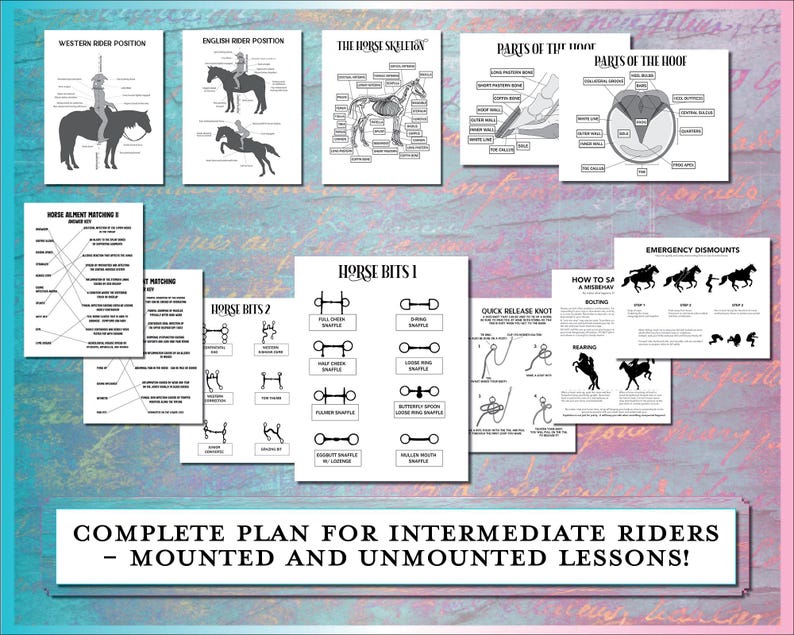 Intermediate Rider Lesson Plan MEGA Bundle - Horseback Riding Exercises ...