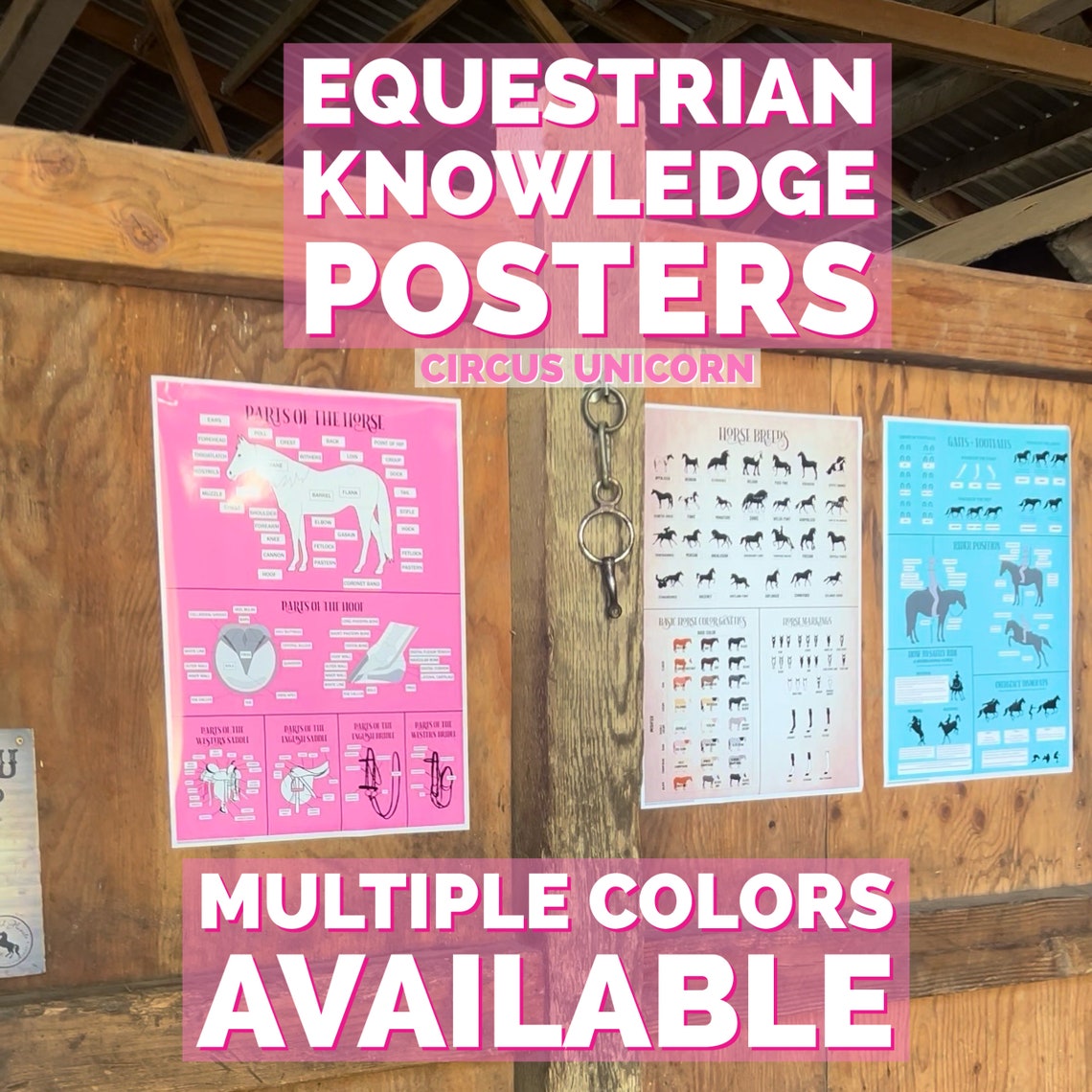 Parts of the Horse Poster, Horse Knowledge Equestrian Poster, Barn ...
