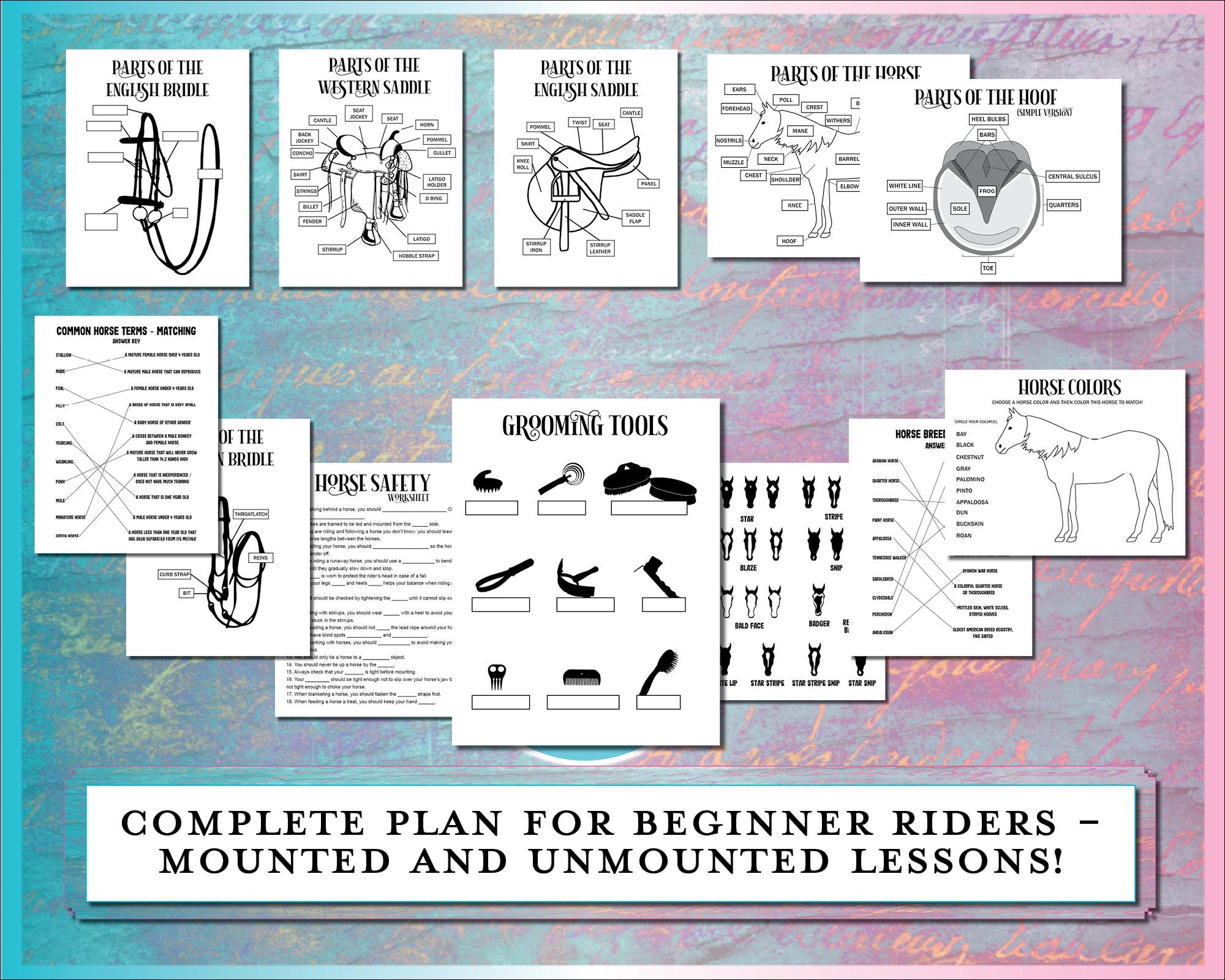 Beginner Rider Lesson MEGA Bundle - 45+ Horseback Riding Exercises ...