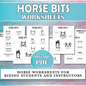 Horse Bits Printable Diagram, Western and English Bits Equestrian Printable Worksheet for Horse ...