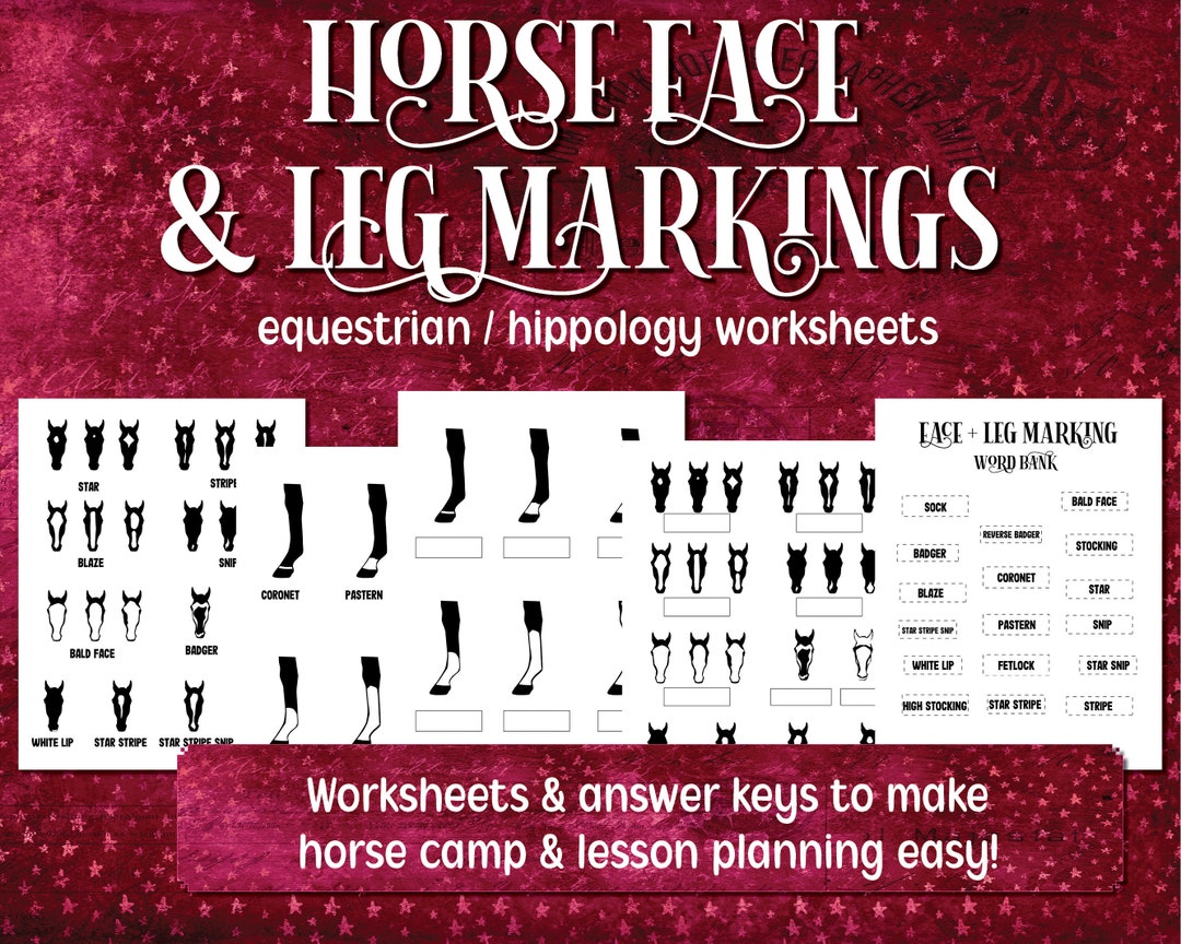 Horse Markings Worksheet at Jonathan Worgan blog