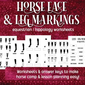 Horse Leg Markings Chart