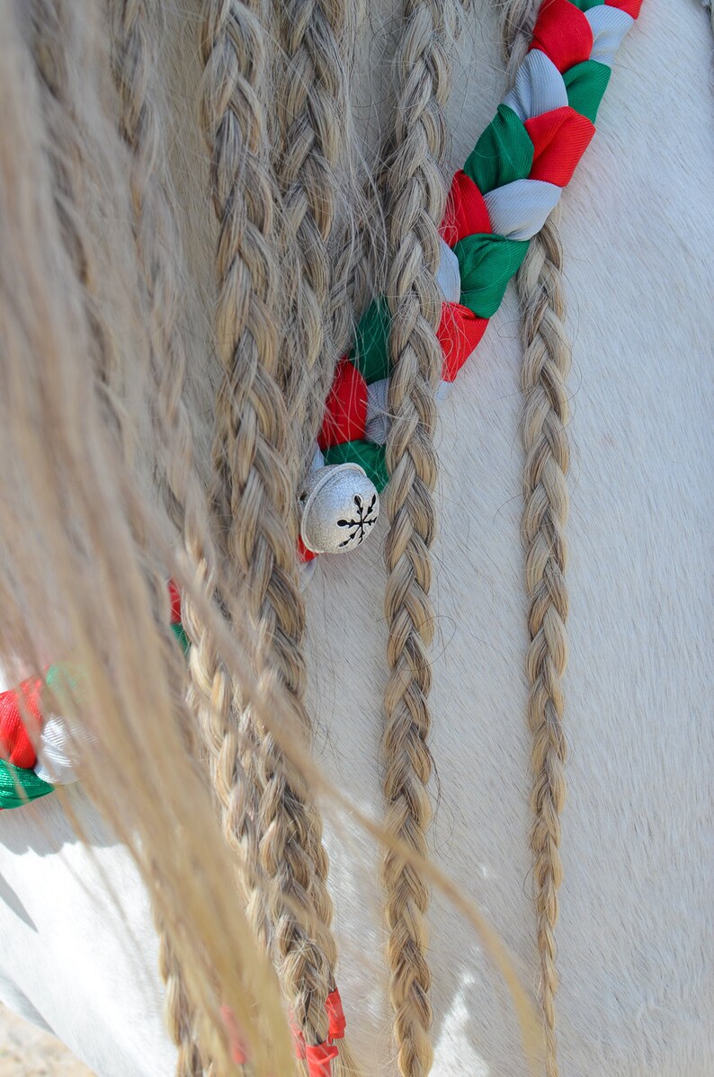 Sleigh Bells Neck Wreath for Horse or Pony | Horse Neck Wreath | Neck ...