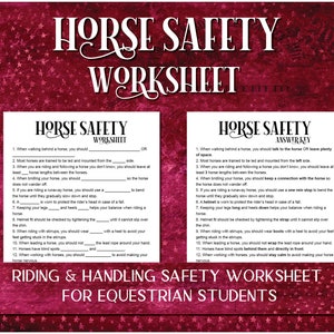 Horse Safety Printable Worksheet, Equestrian Safety Activity for Riding ...