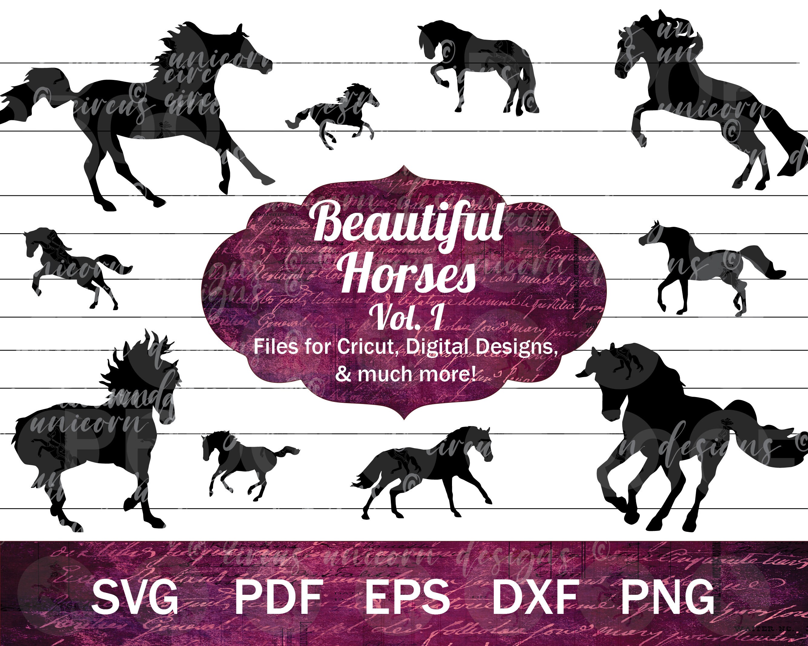 Schönes Pferd SVG Bundle, Pferdesport Clip Art, Arabisches Pferd PNG ...