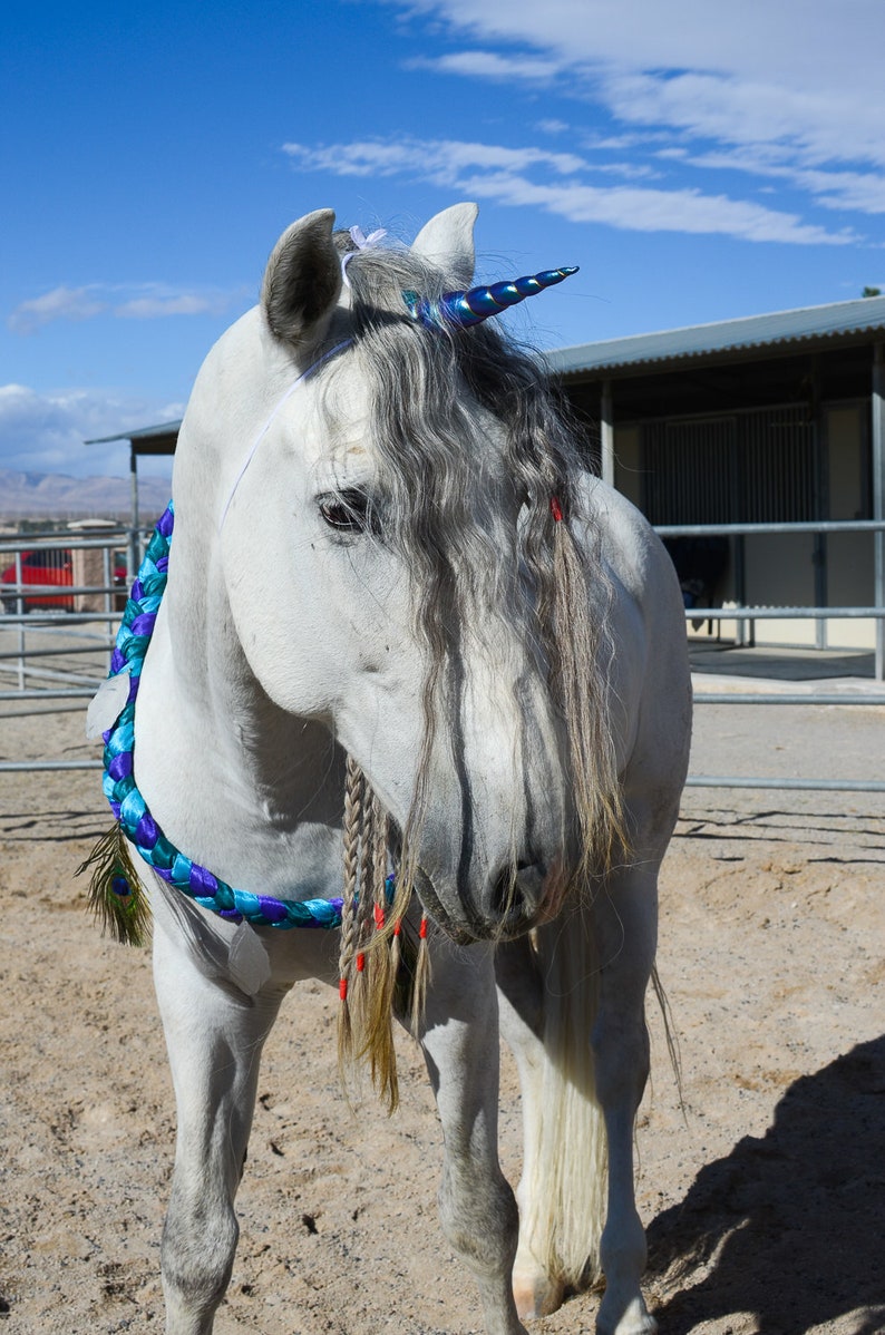 Iridescent Unicorn Horn for Horse With Flowers Horse Unicorn - Etsy