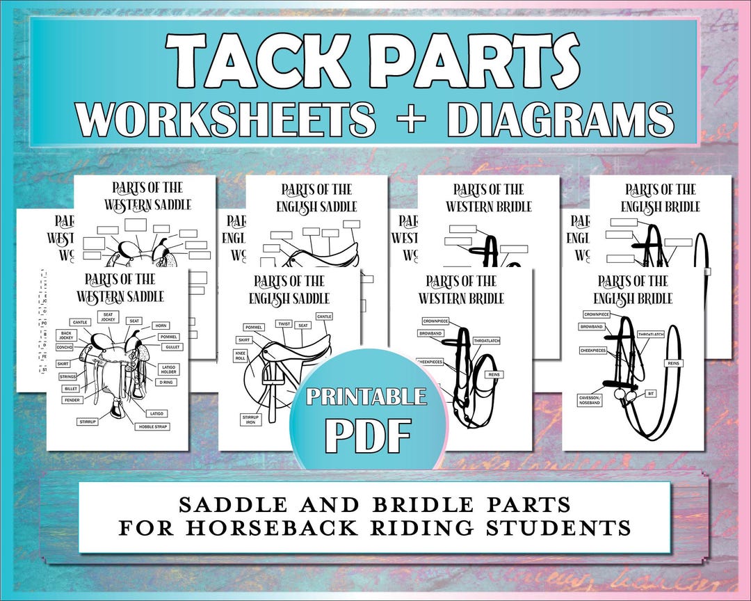 Tack Parts Printable Diagram, Saddle and Bridle Parts Equestrian ...