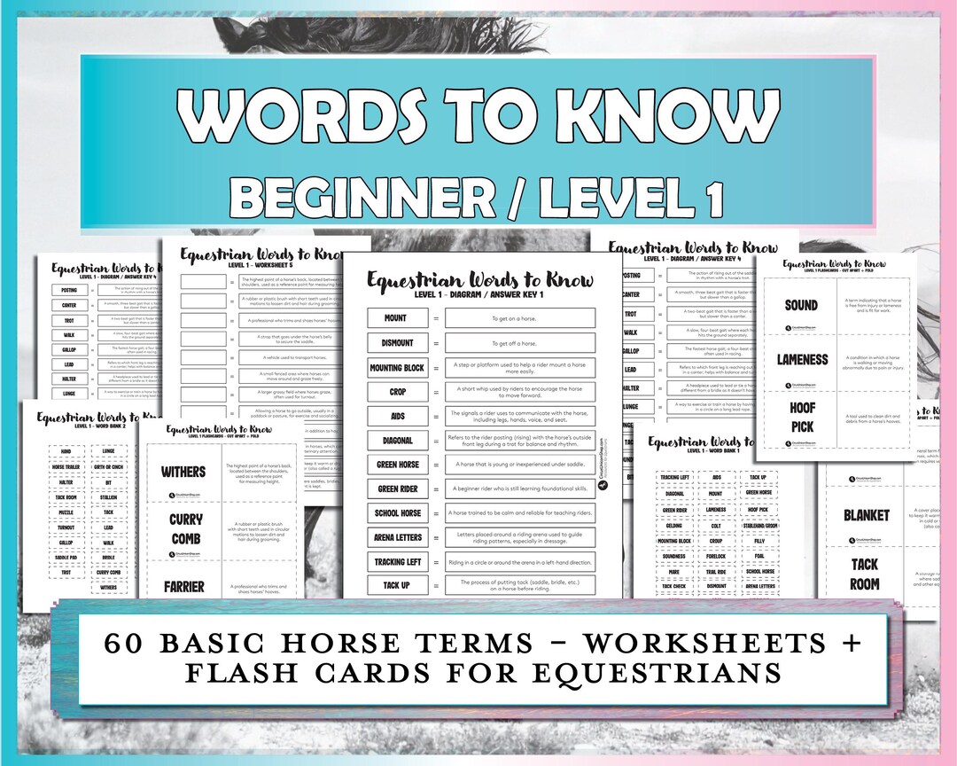 Equestrian Words to Know Beginner Rider Printable Bundle | Horse ...